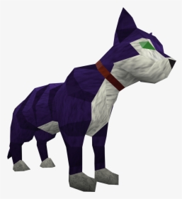 Okapi, HD Png Download - kindpng