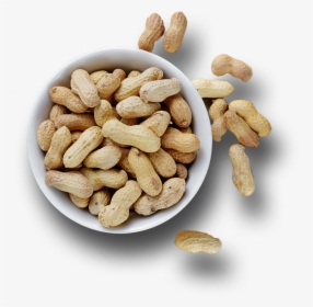 Groundnut PNG Images, Free Transparent Groundnut Download - KindPNG