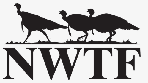 Nwtf Logo Black, HD Png Download - kindpng