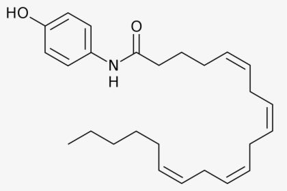 Tylenol PNG Images, Free Transparent Tylenol Download - KindPNG