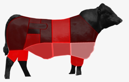 Meatwad Png, Transparent Png - kindpng