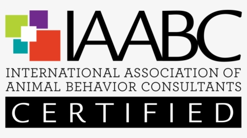 Iaabc Newlogo Webcert - Iaabc Logo, HD Png Download - kindpng
