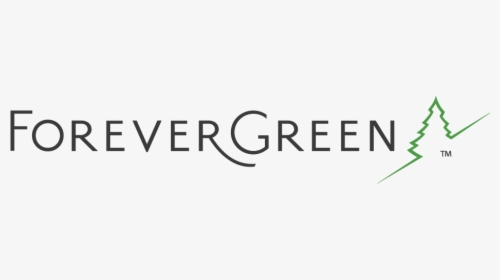 Logo - Forever Green Logo, HD Png Download - kindpng