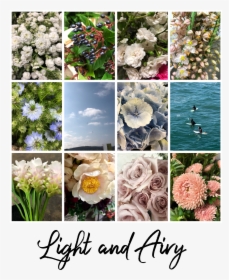 Buttercup Flower PNG Images, Free Transparent Buttercup Flower Download ...