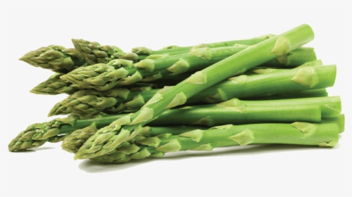 Fiber PNG Images, Free Transparent Fiber Download , Page 2 - KindPNG
