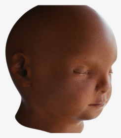 Baby Head PNG Images, Free Transparent Baby Head Download - KindPNG