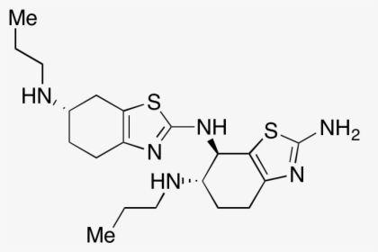 Pacm Amine, HD Png Download - kindpng