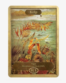 Badderlocks, HD Png Download - kindpng