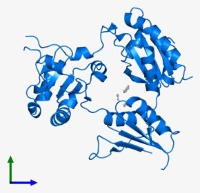 Endoplasmic Reticulum PNG Images, Free Transparent Endoplasmic ...