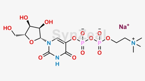 Sodium Png , Png Download - Diagram, Transparent Png - kindpng