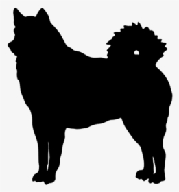 Finnish Spitz Silhouette, HD Png Download - kindpng
