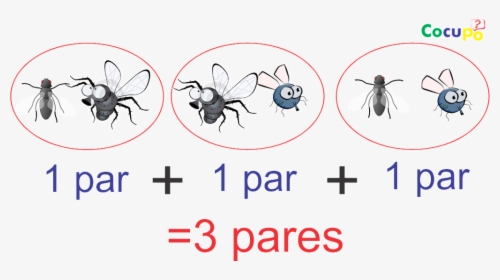 Scatec Solar Logo Png, Transparent Png - kindpng