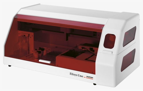 Elisi Clip Art, HD Png Download - kindpng