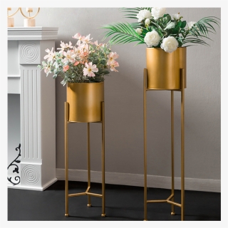 Gamla Flower PNG Images, Free Transparent Gamla Flower Download - KindPNG