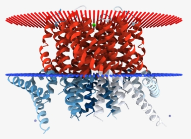 Endoplasmic Reticulum PNG Images, Free Transparent Endoplasmic ...