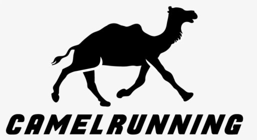Transparent Camel Clipart Black And White - Running Camel Logo, HD Png ...